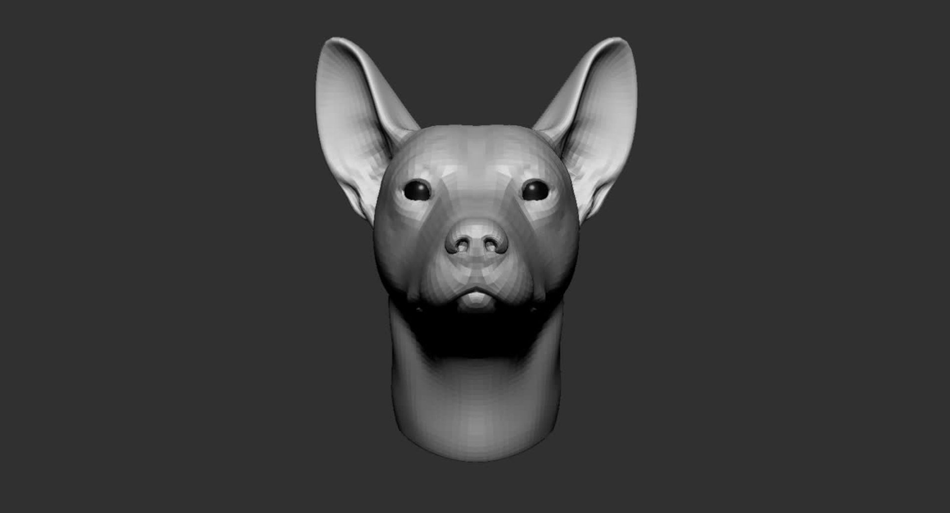 Dog Head Base Mesh 3D - TurboSquid 1427338