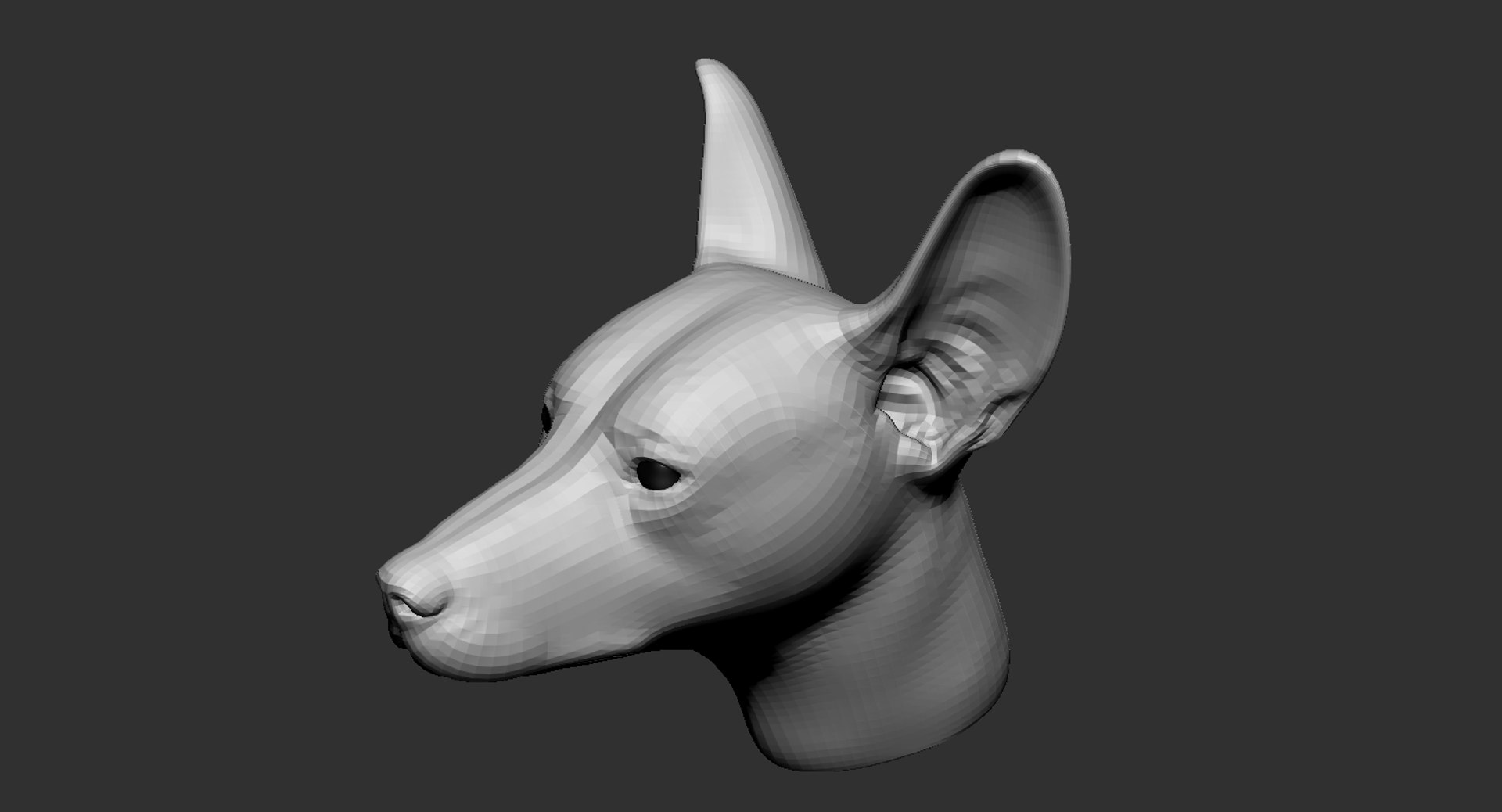 Dog Head Base Mesh 3D - TurboSquid 1427338