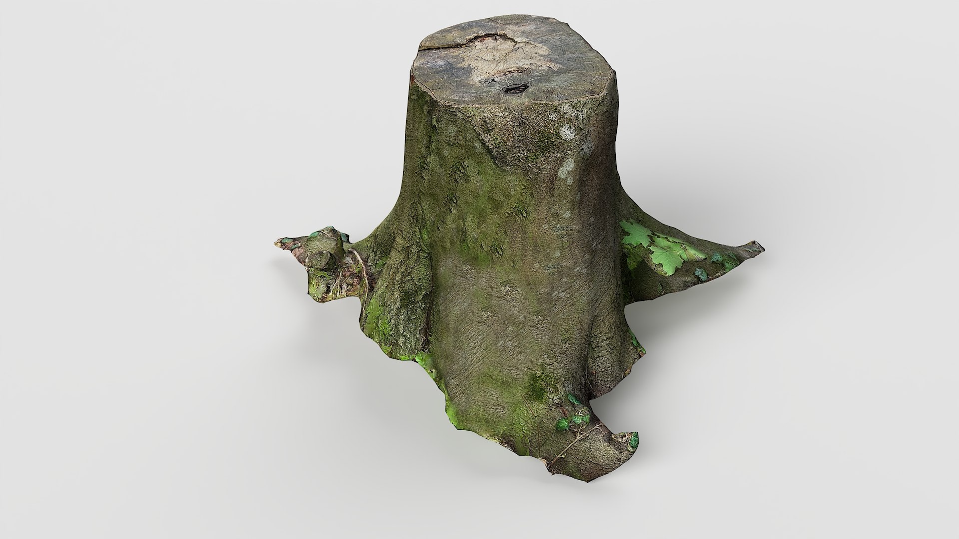 Tree Stump 28 Model - TurboSquid 2063831