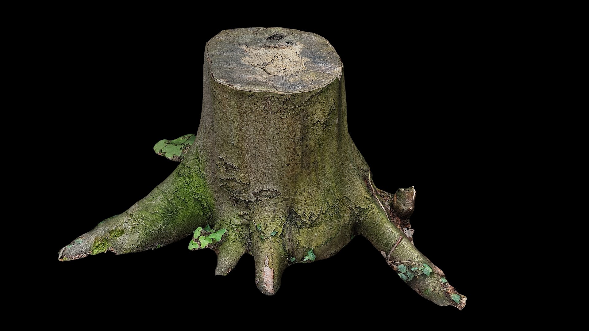 Tree Stump 28 Model - TurboSquid 2063831