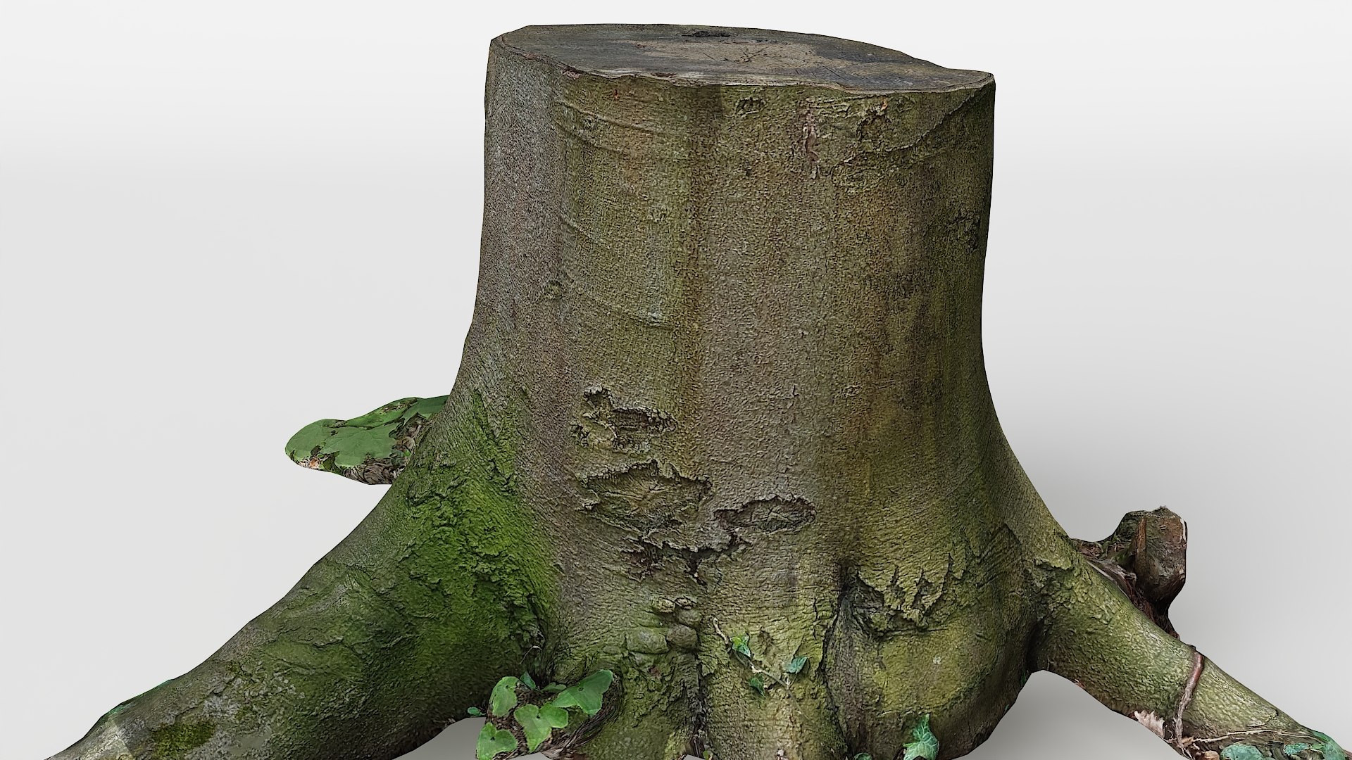 Tree Stump 28 Model - TurboSquid 2063831