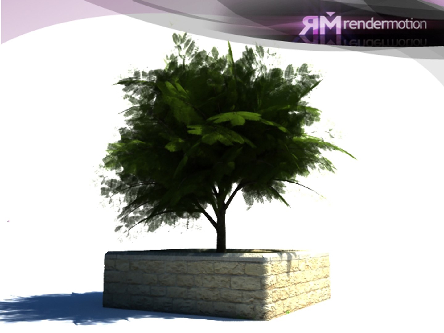 D2 C1 20 Jacaranda 3d Model