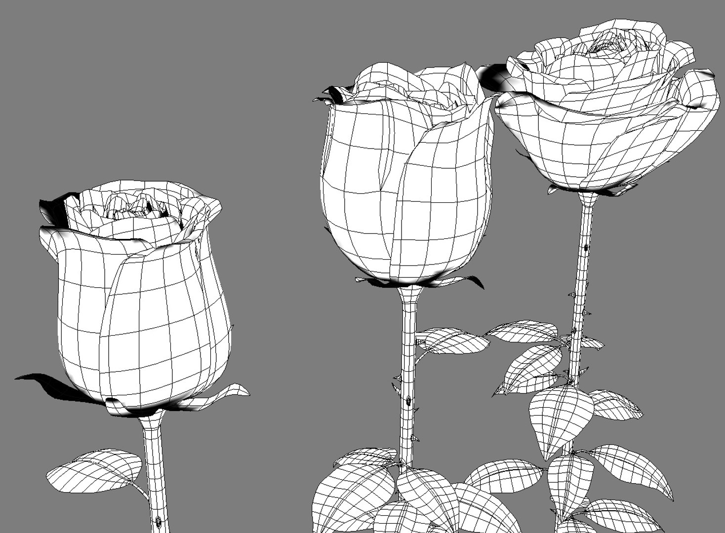 Realistic Roses 3d Model