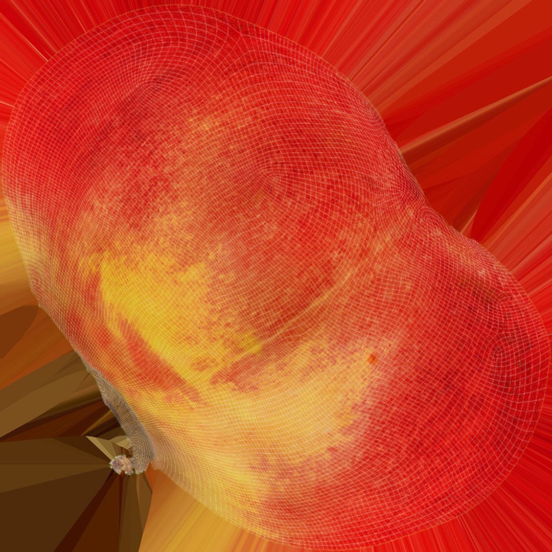 3D Peach Color 2 Collection - TurboSquid 2285852