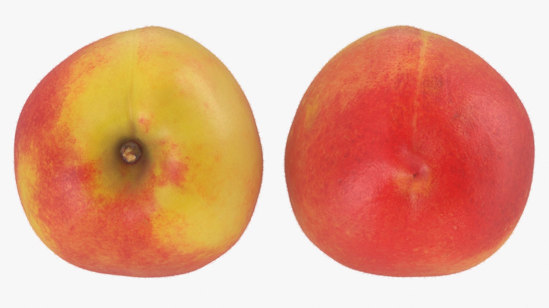 3D Peach Color 2 Collection - TurboSquid 2285852