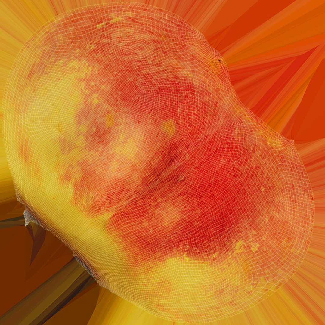 3D Peach Color 2 Collection - TurboSquid 2285852