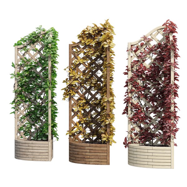 3D Trellis Models | TurboSquid