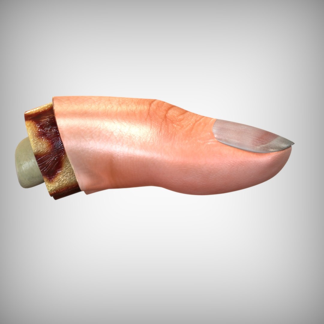 3D Human Finger - TurboSquid 1520705