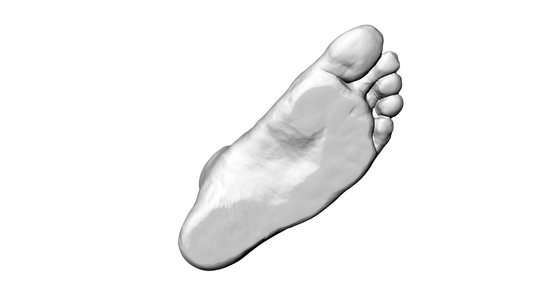 Foot 3D Model - TurboSquid 1619134
