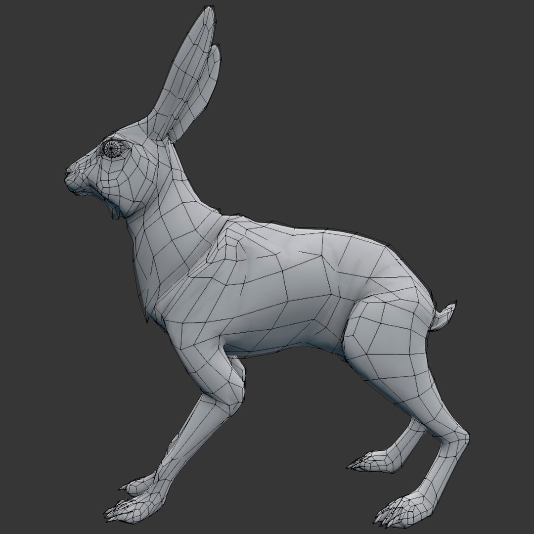 3D Hare - TurboSquid 1204333