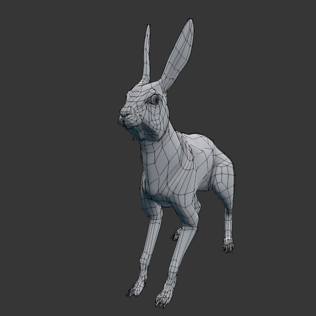3D Hare - TurboSquid 1204333
