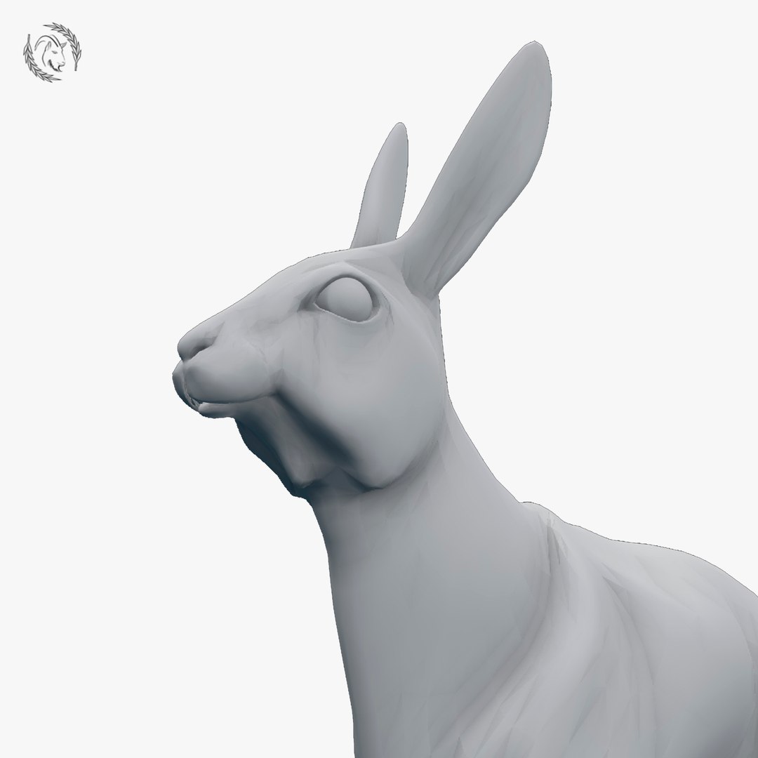 3D Hare - TurboSquid 1204333