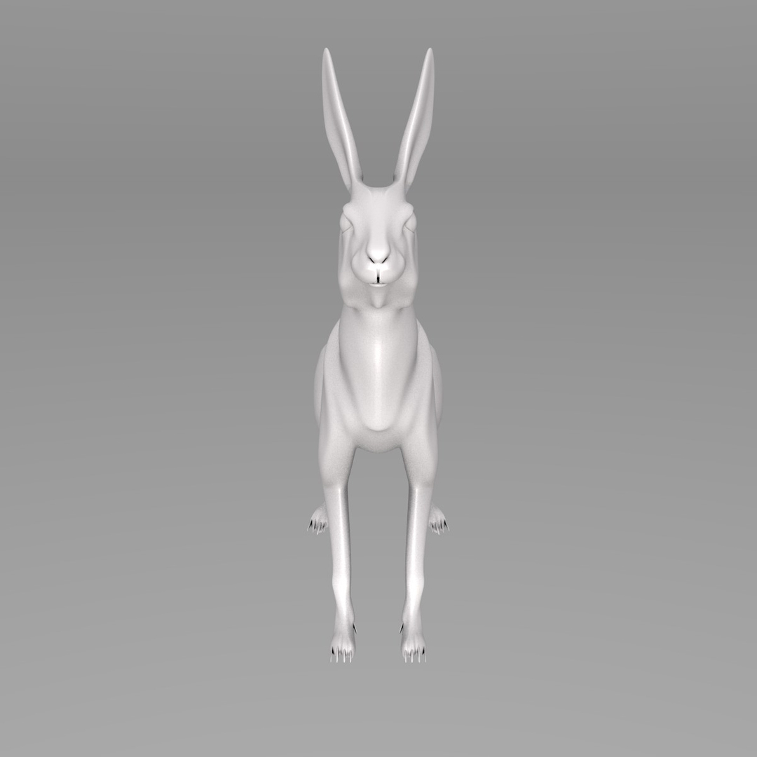 3D Hare - TurboSquid 1204333