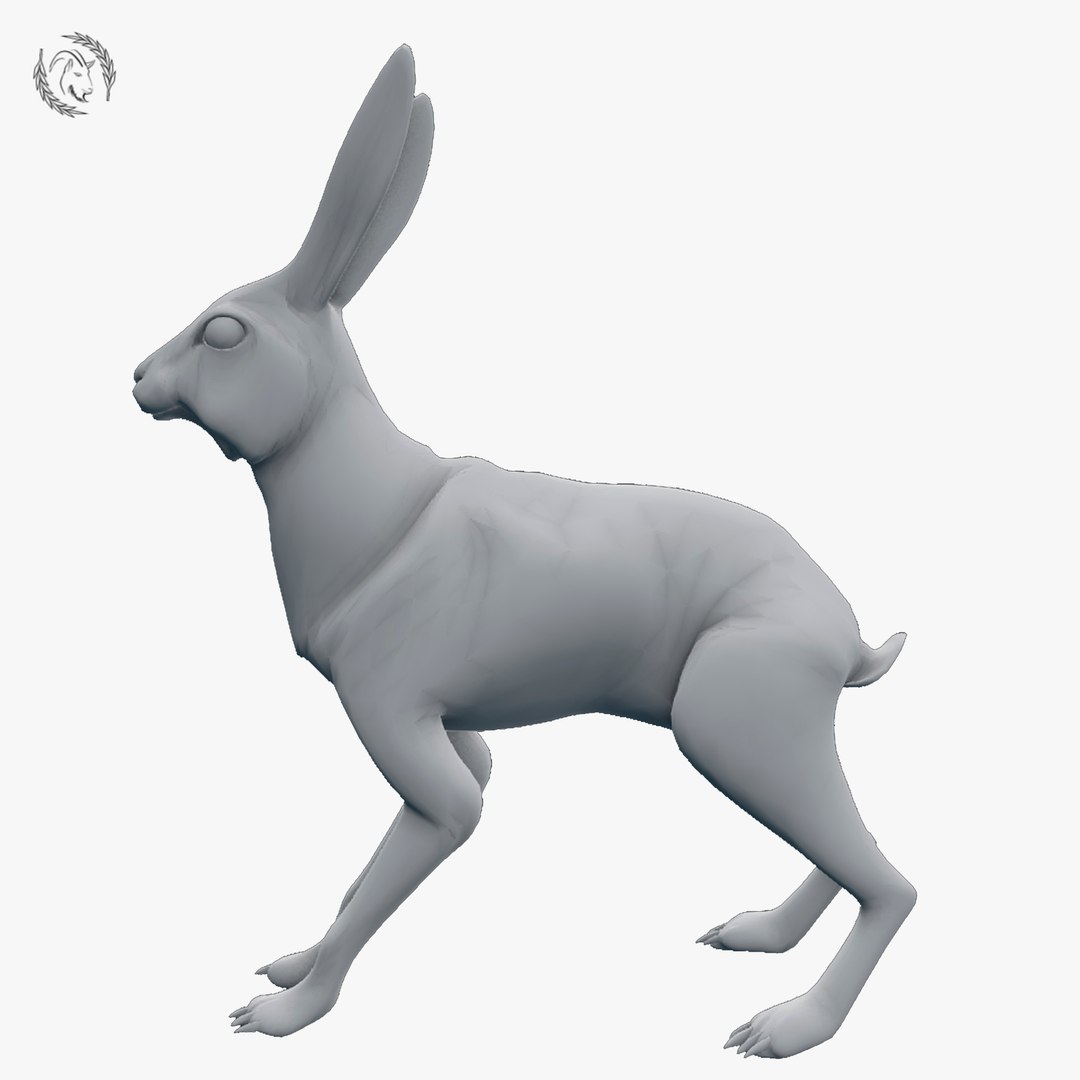 3D Hare - TurboSquid 1204333