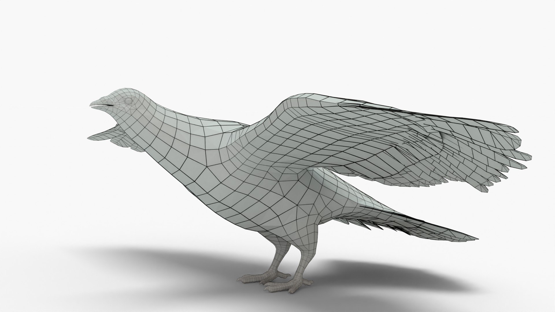 3D Realistic Pigeon - TurboSquid 2296126