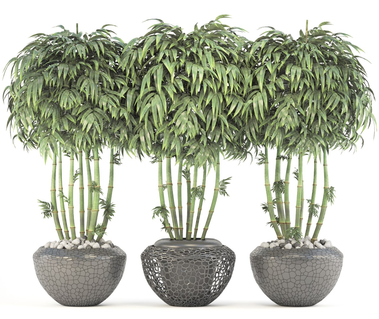 Bamboo Trees Model - TurboSquid 1228664