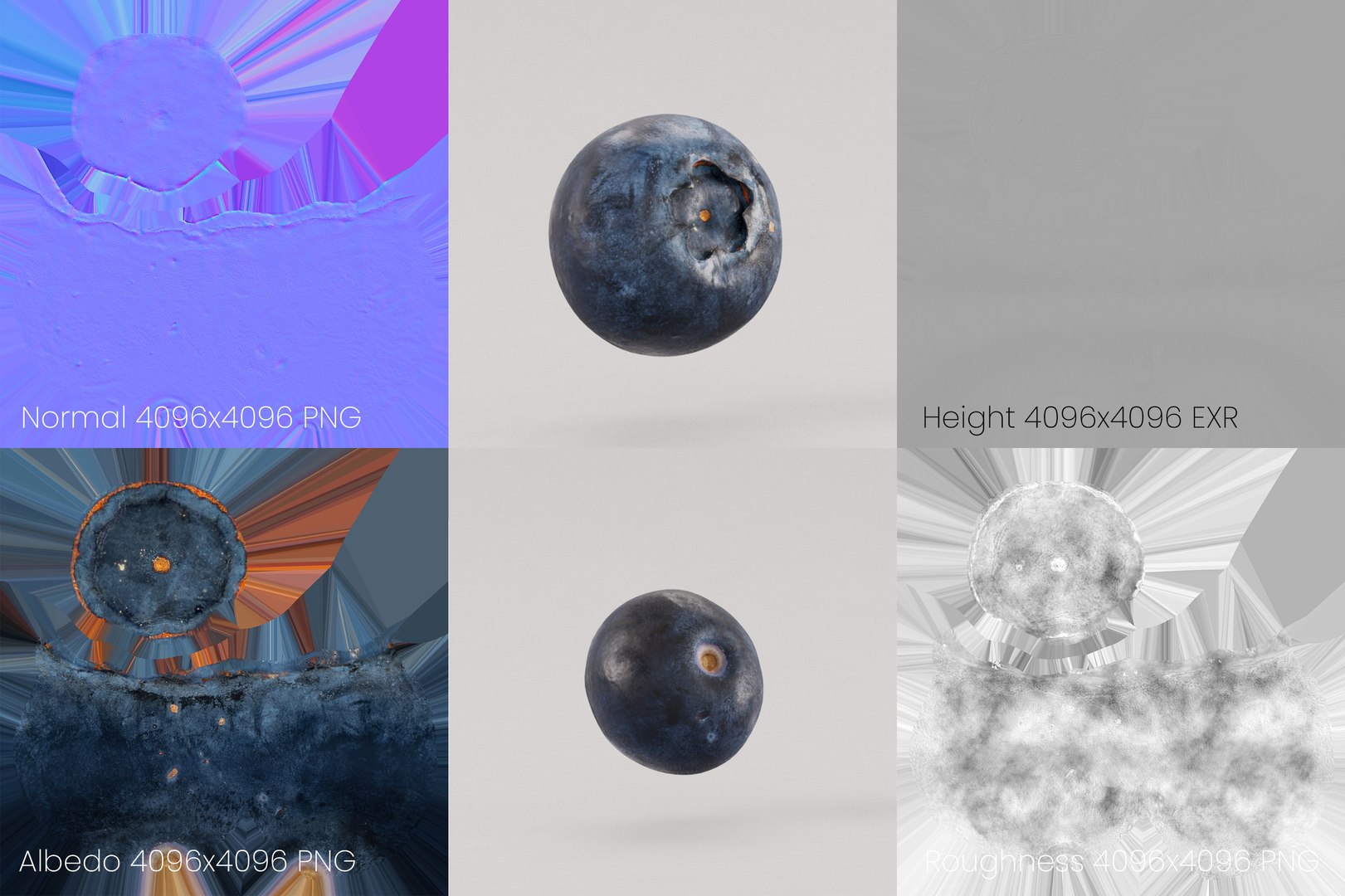 Blueberry 3D - TurboSquid 2317997