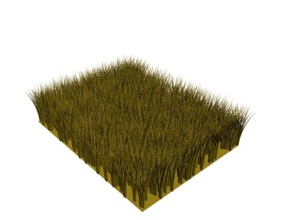 max grass