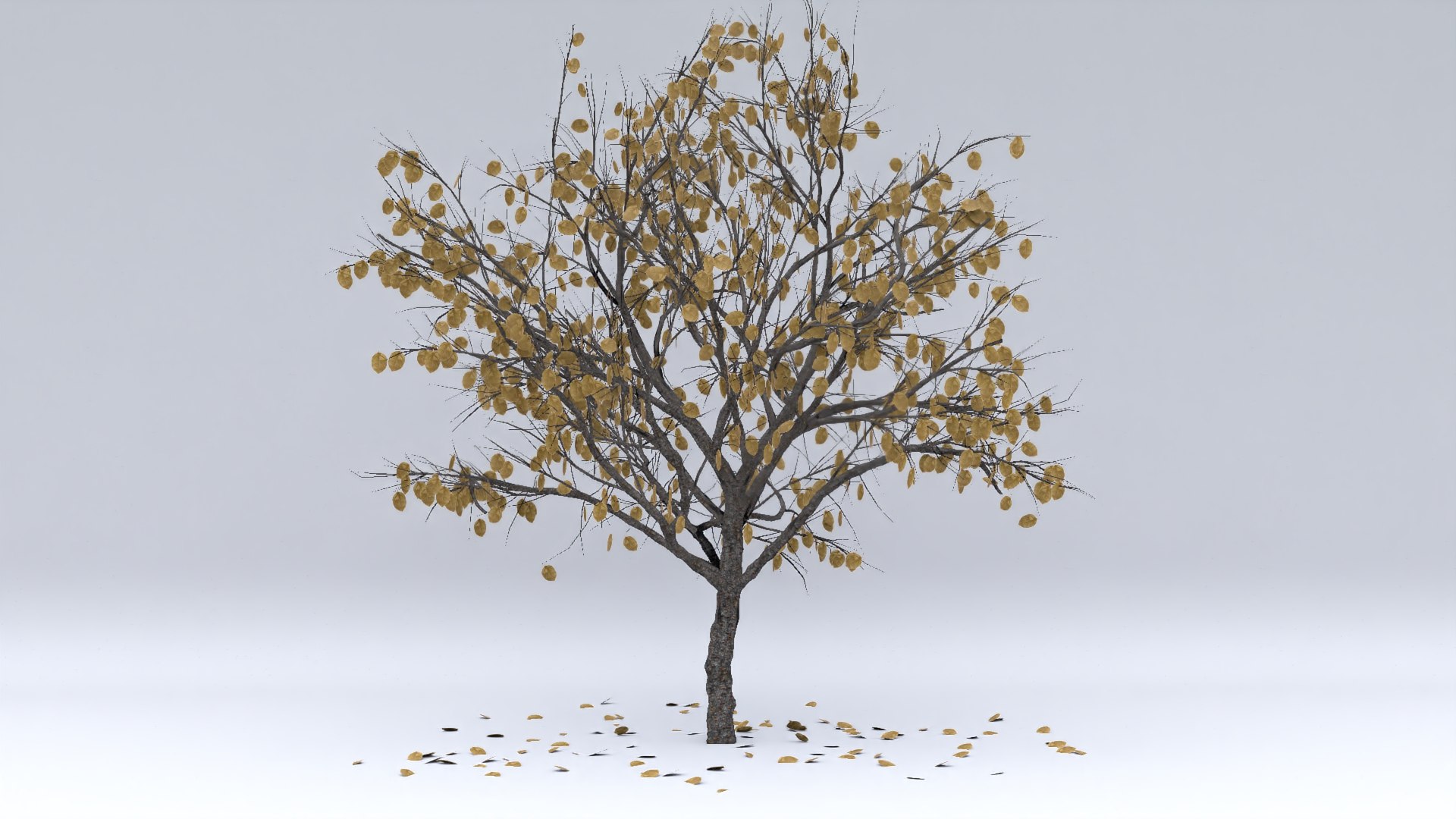 3D Quince Autumn Hight - TurboSquid 1626027