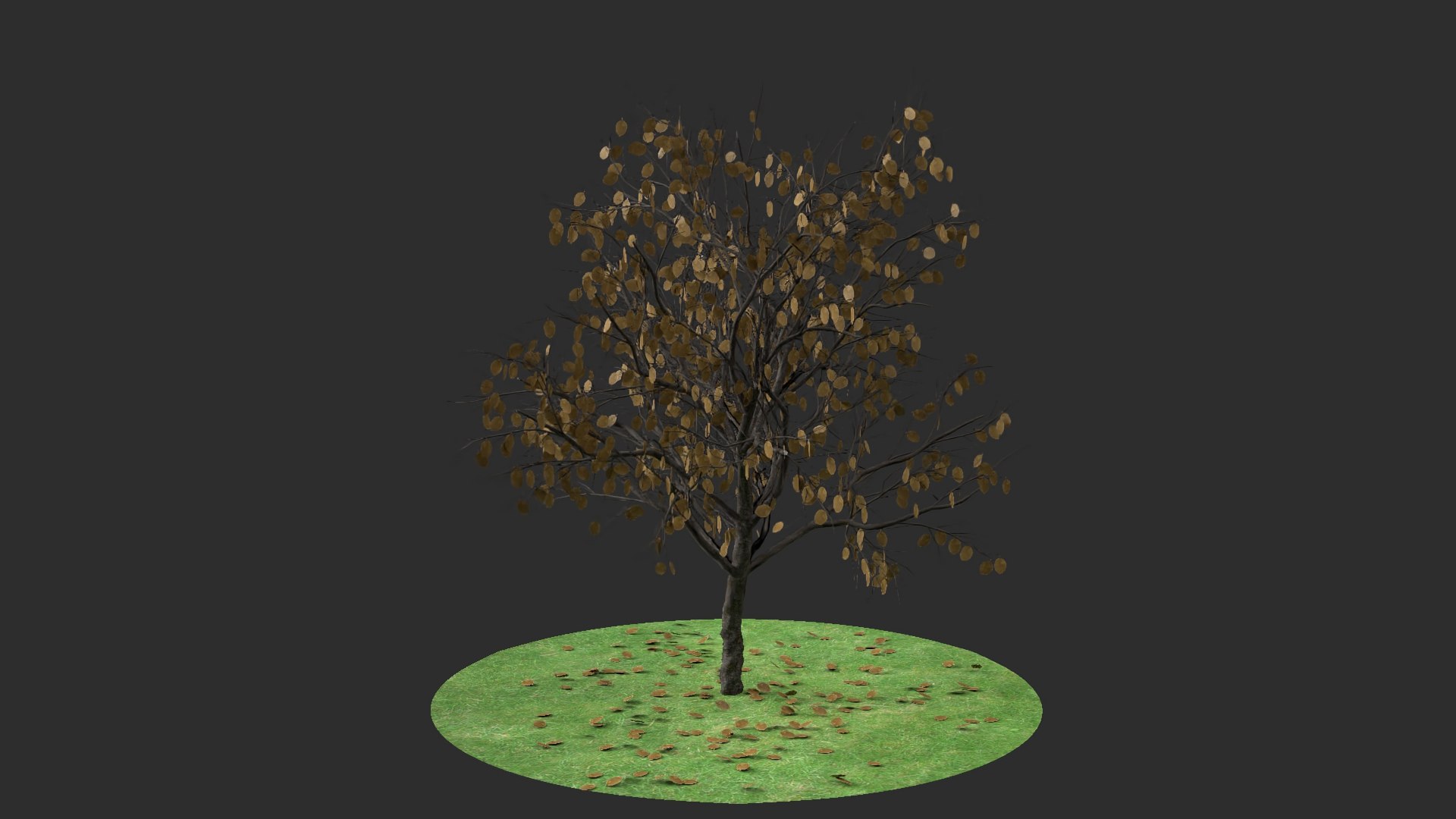 3D Quince Autumn Hight - TurboSquid 1626027