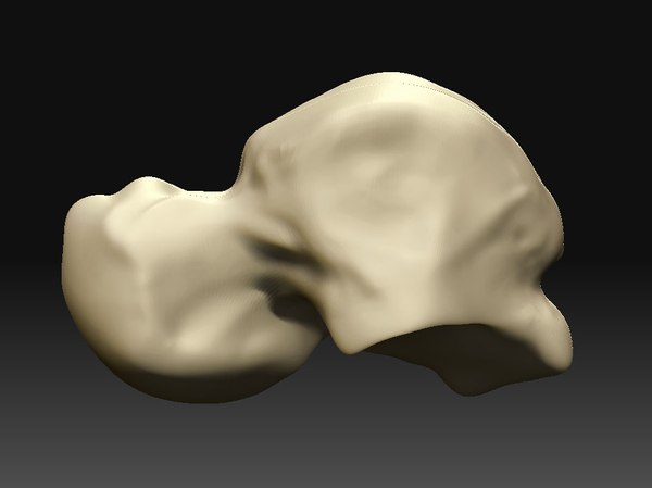 modelo 3d Astragal - Talus - TurboSquid 449694