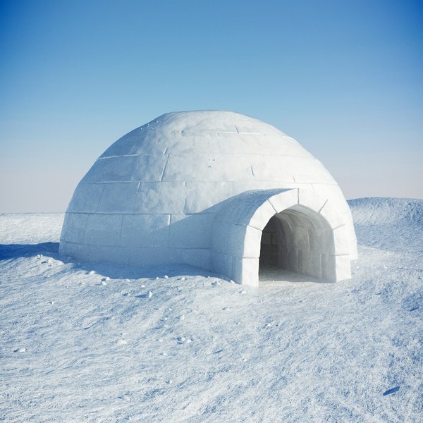 igloo snow 3d max