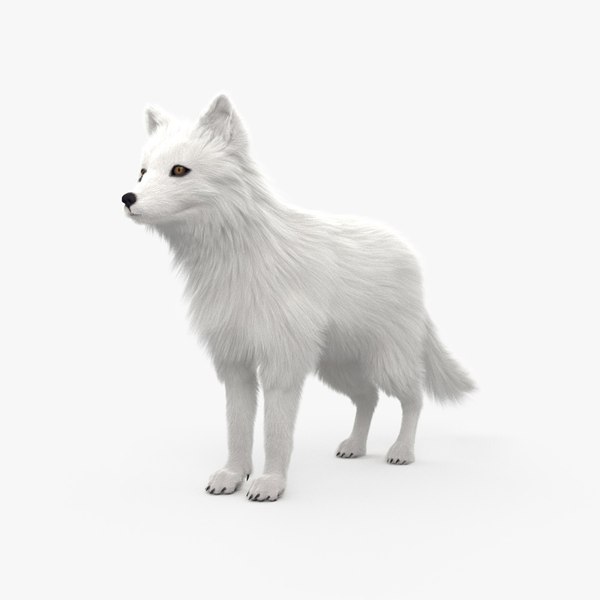 Fox 3D Models for Download | TurboSquid