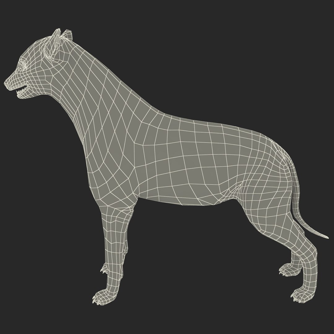 hyena animal modelled 3d model