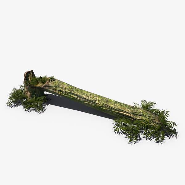 3d model of fallen tropical tree