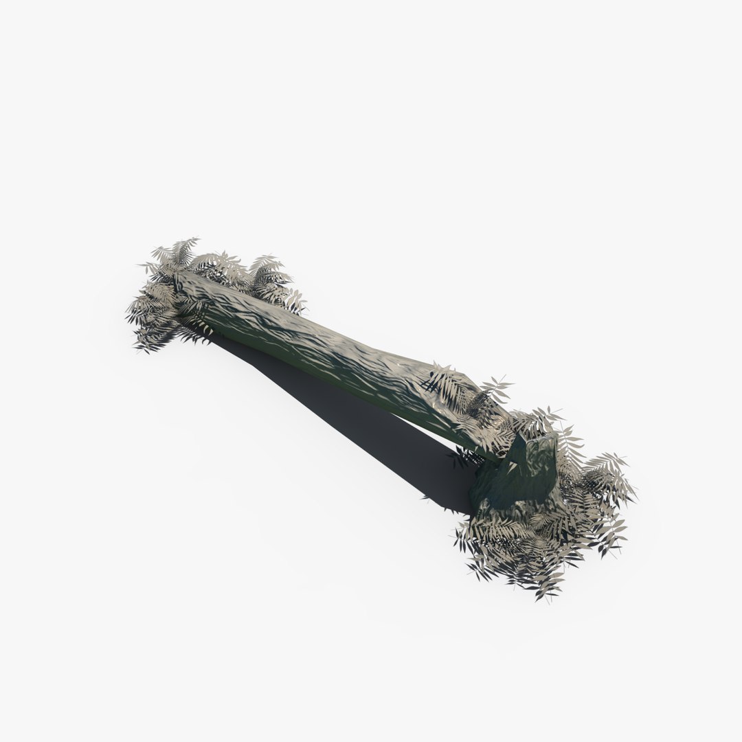 3d Model Of Fallen Tropical Tree