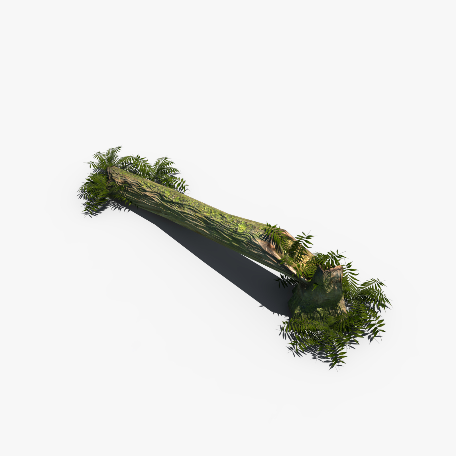 3d model of fallen tropical tree