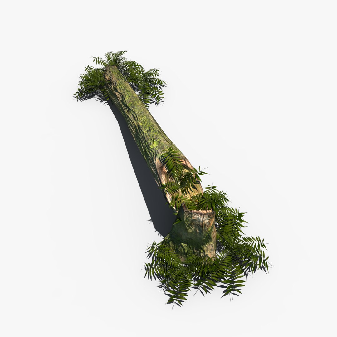 3d Model Of Fallen Tropical Tree
