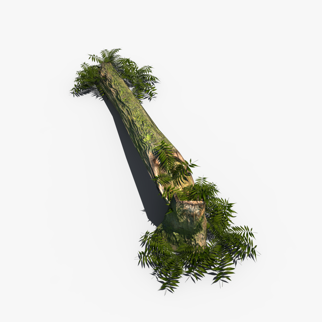 3d model of fallen tropical tree