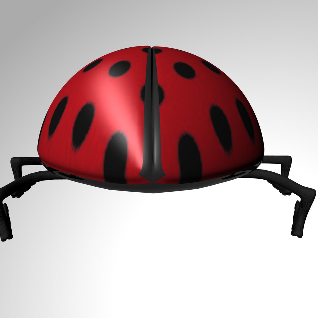 Free Lady Ladybird 3d Model