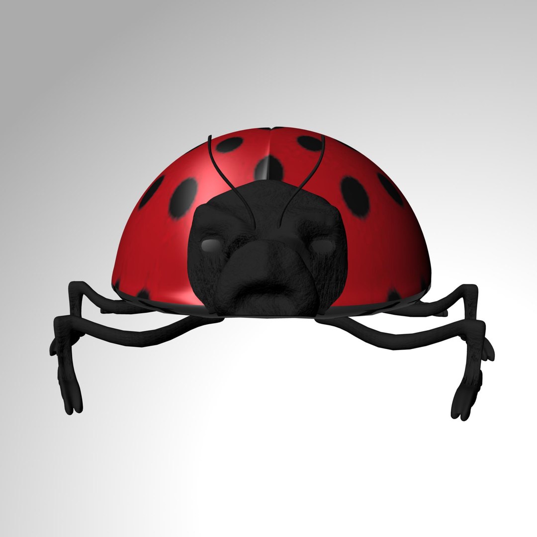Free Lady Ladybird 3d Model