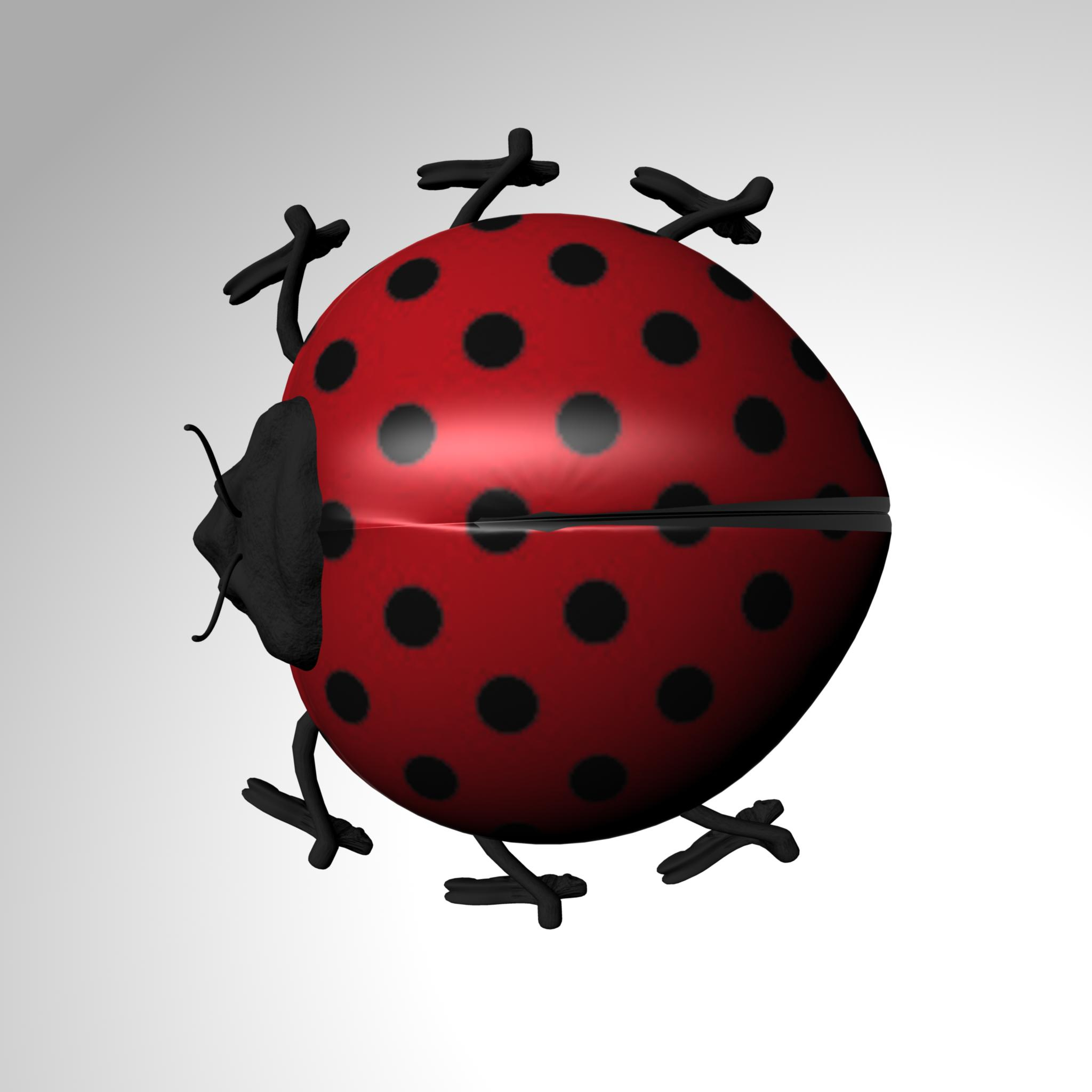 free lady ladybird 3d model