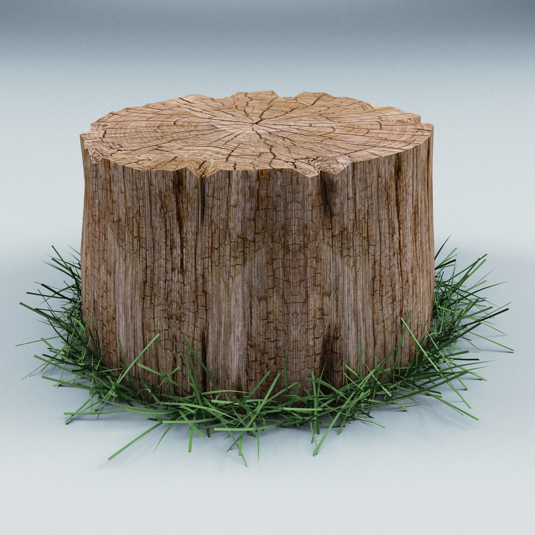 3d Model Old Stumps
