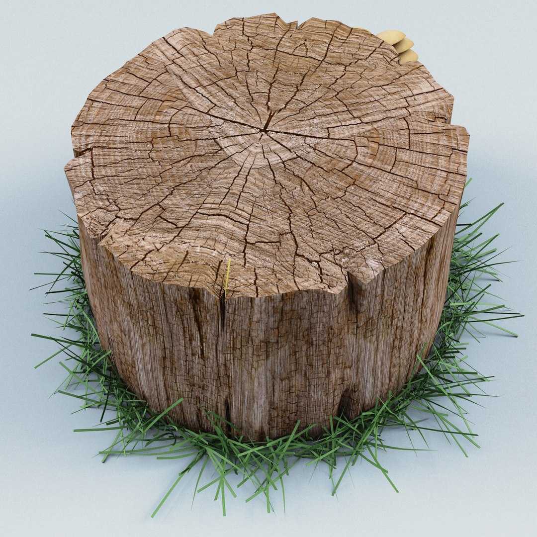 3d Model Old Stumps