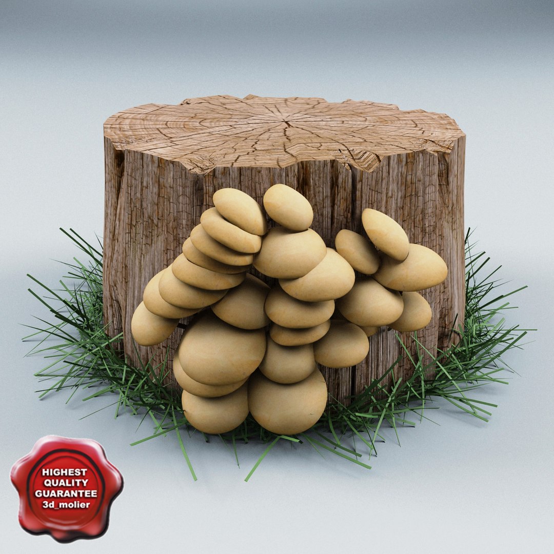 3d Model Old Stumps