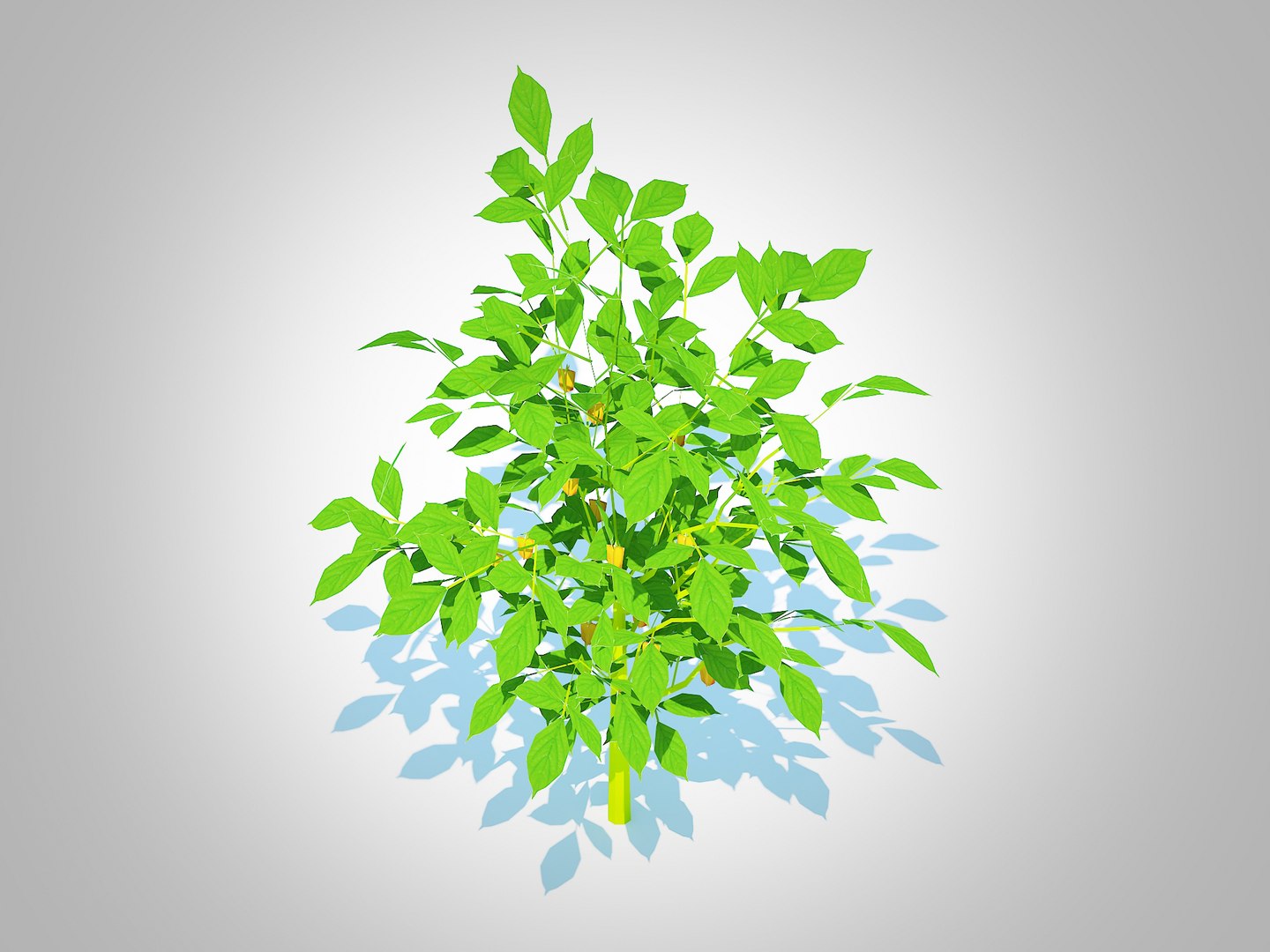 3D Bell Pepper-yellow Model - TurboSquid 2309037