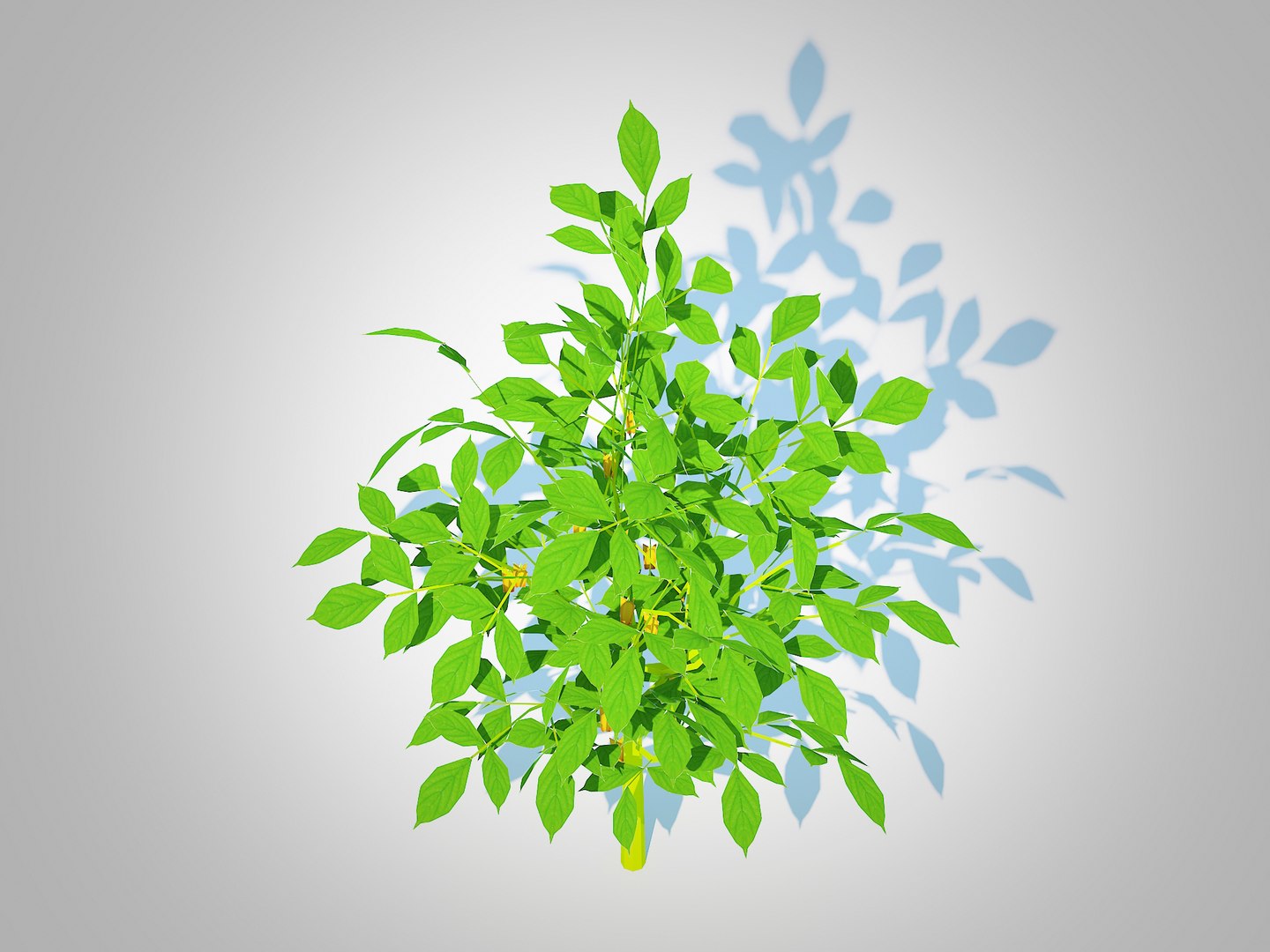 3D Bell Pepper-yellow Model - TurboSquid 2309037