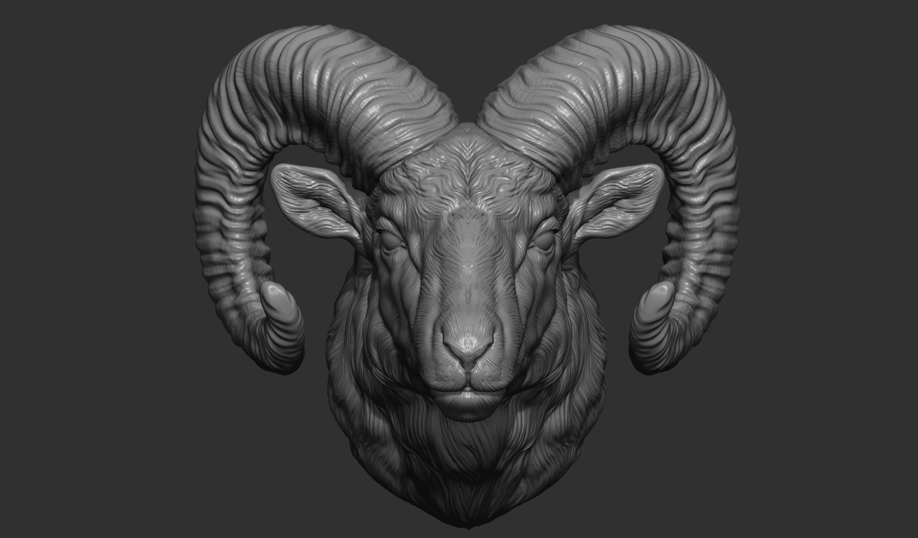 3D Big Horned Ram - TurboSquid 1860062