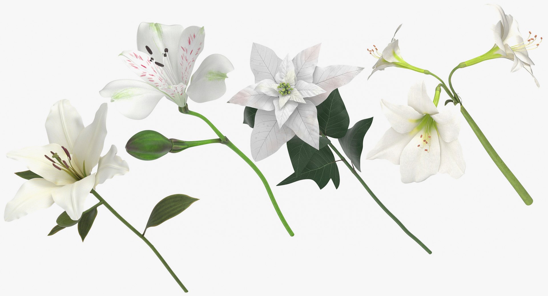 White floral set 02 model - TurboSquid 1452131