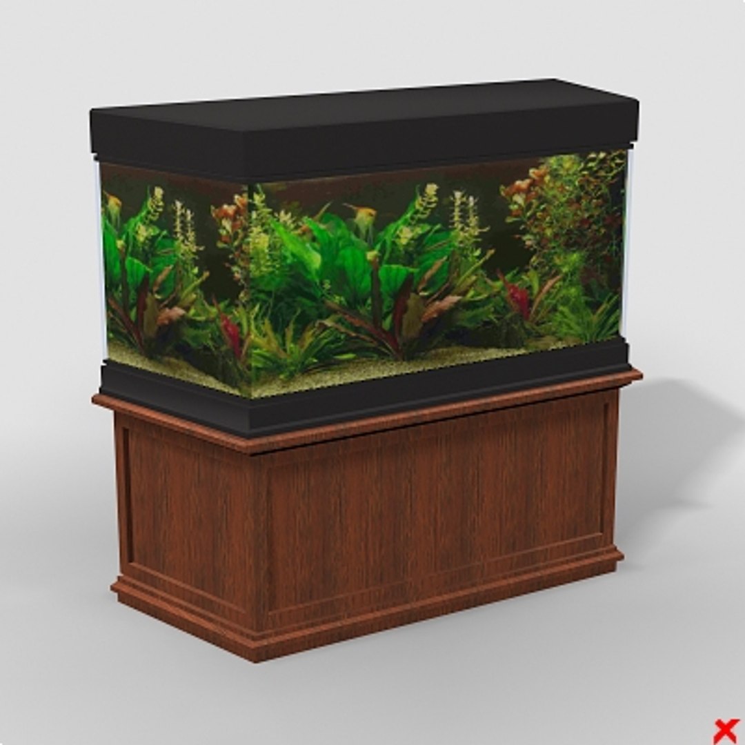 3d model aquarium