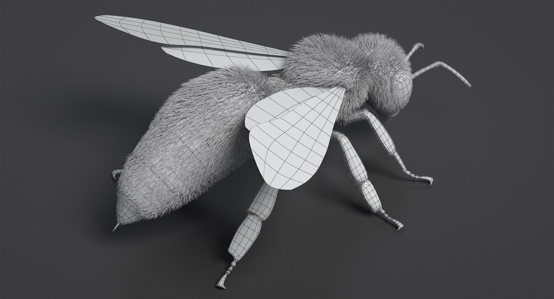3D realistic bee real - TurboSquid 1375206