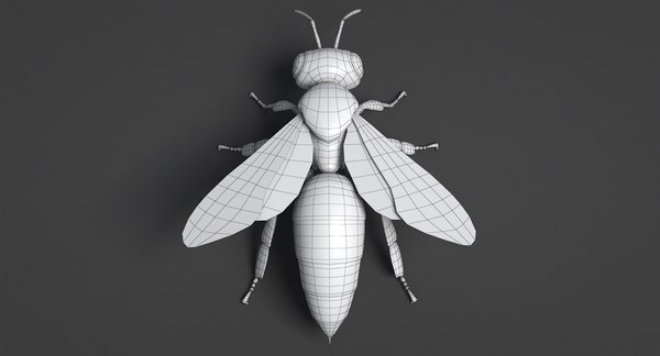 3D realistic bee real - TurboSquid 1375206