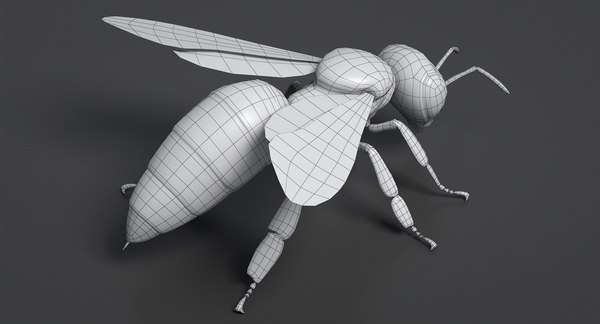 3D realistic bee real - TurboSquid 1375206