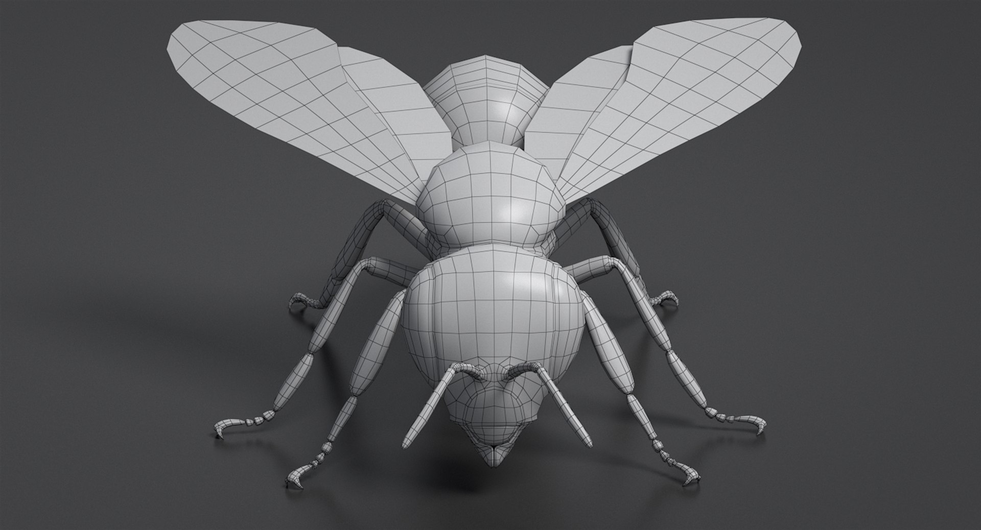 3D realistic bee real - TurboSquid 1375206