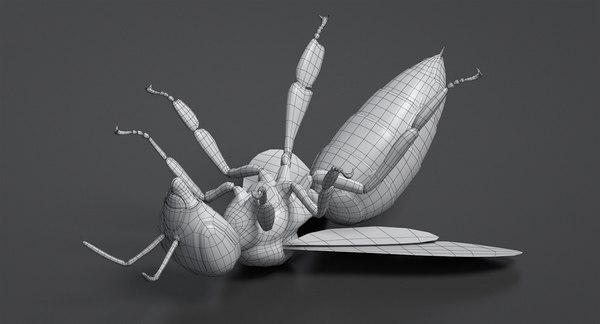 3D realistic bee real - TurboSquid 1375206