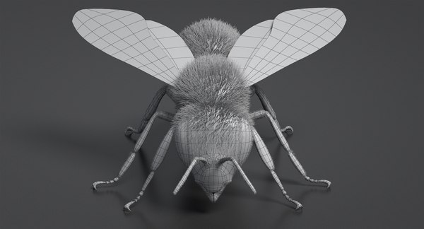 3D realistic bee real - TurboSquid 1375206